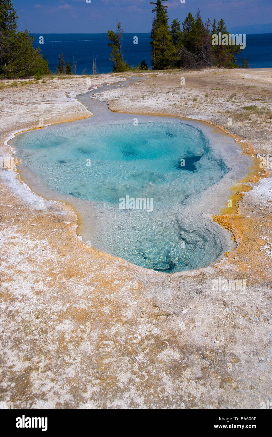 Perforated pool west thumb geyser hi-res stock photography and images ...