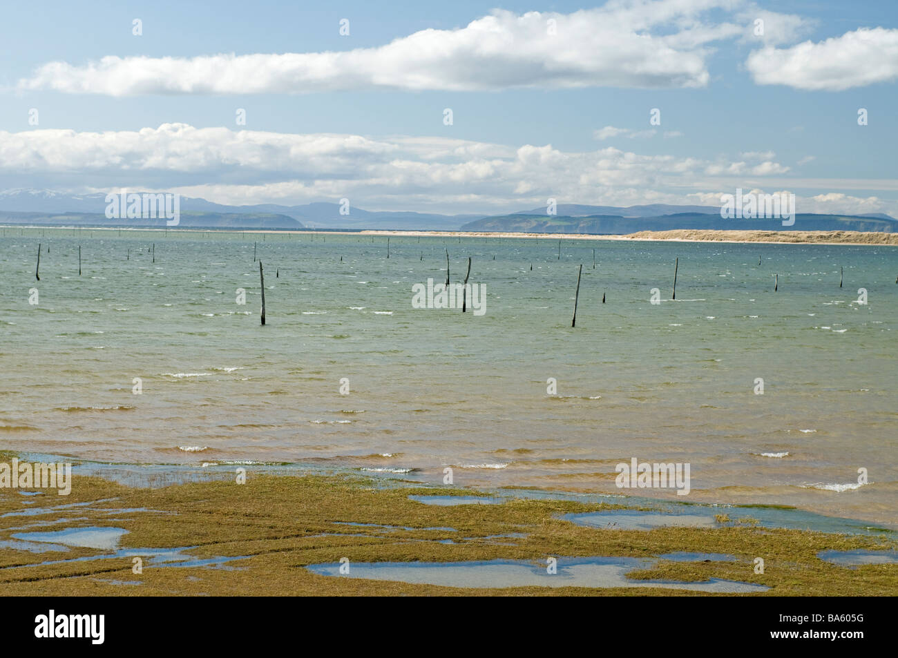 Culbin forest cycle hi-res stock photography and images - Alamy