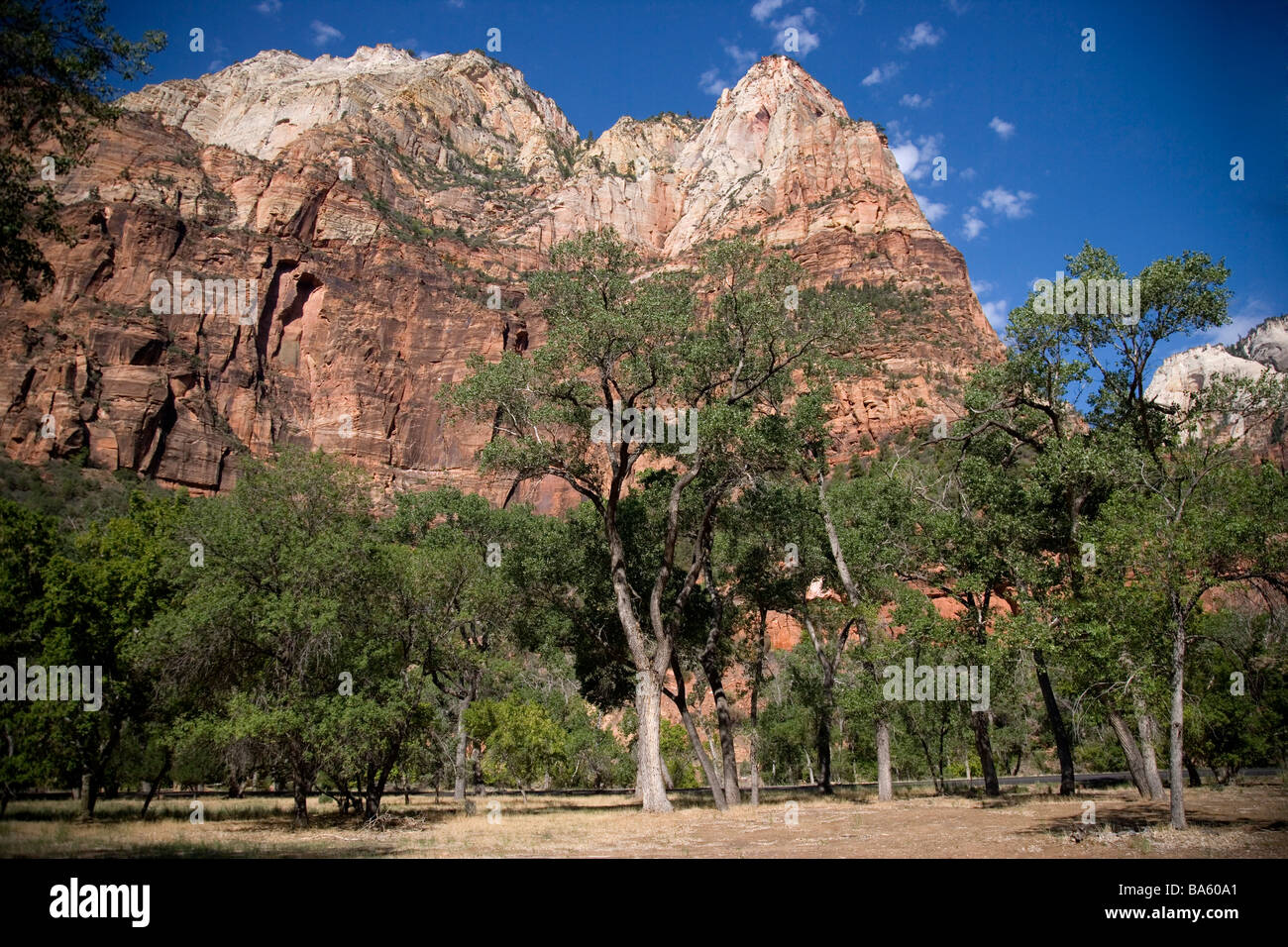 National park series zion hi-res stock photography and images - Alamy