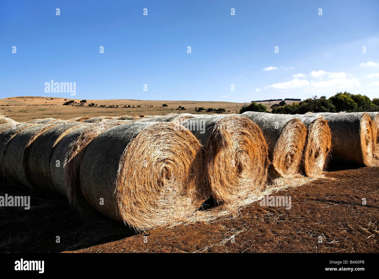 Australia hay hi-res stock photography and images - Alamy