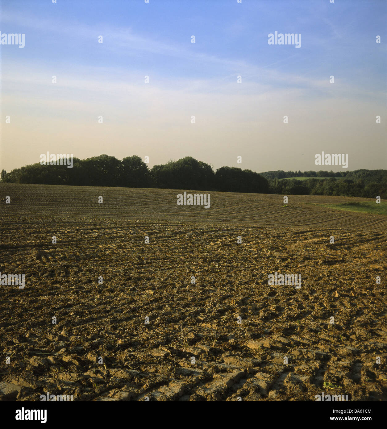 Germany hill-landscape field dusk landscape field-landscape soil ground ...