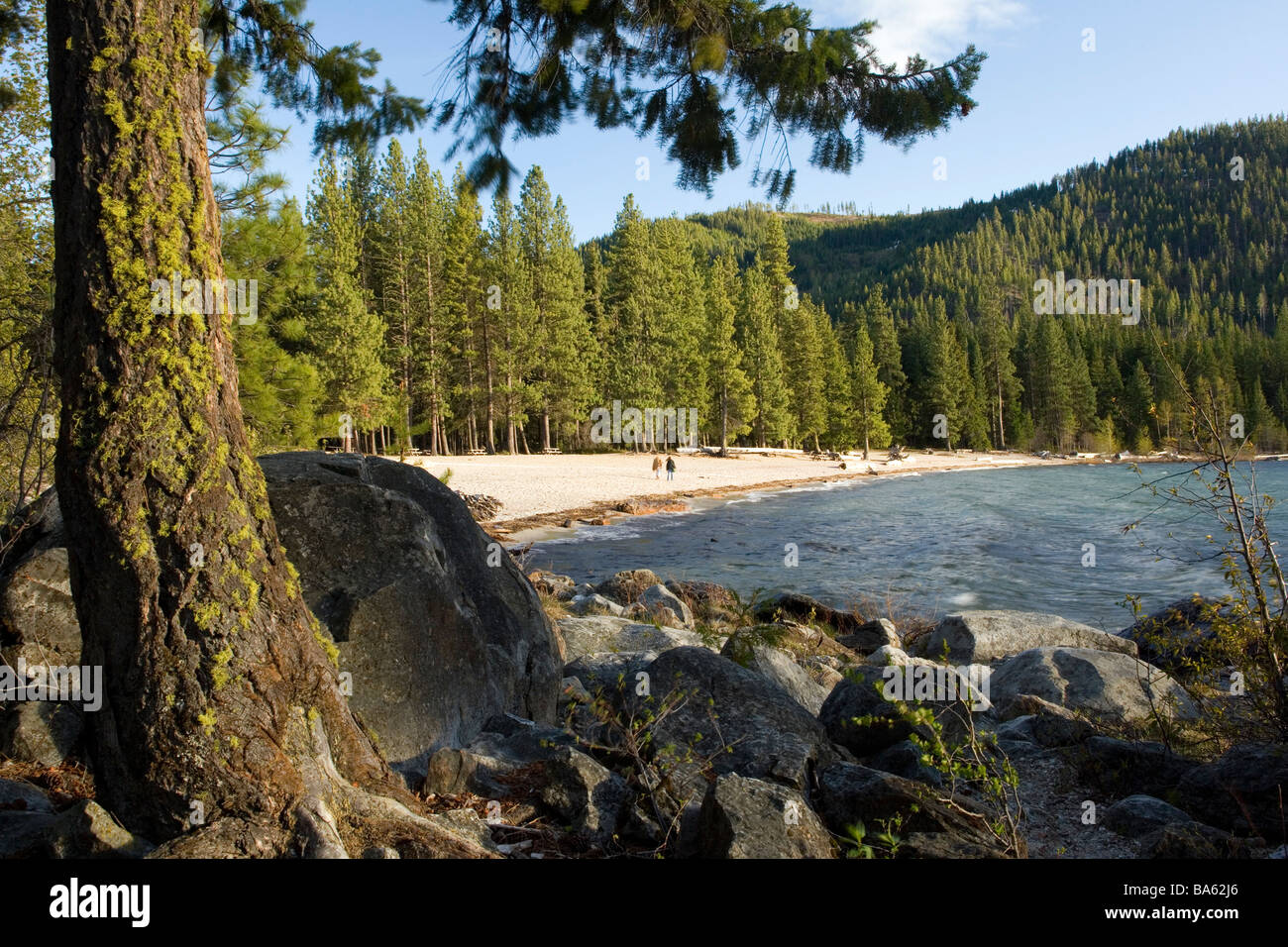 Beach - Lake Wenatchee State Park, Washington Stock Photo - Alamy