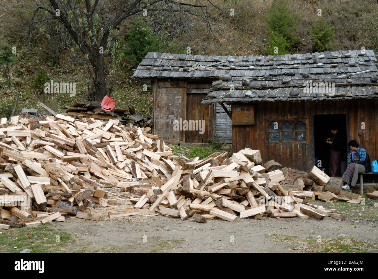 Sustainable wood for building hi-res stock photography and images - Alamy