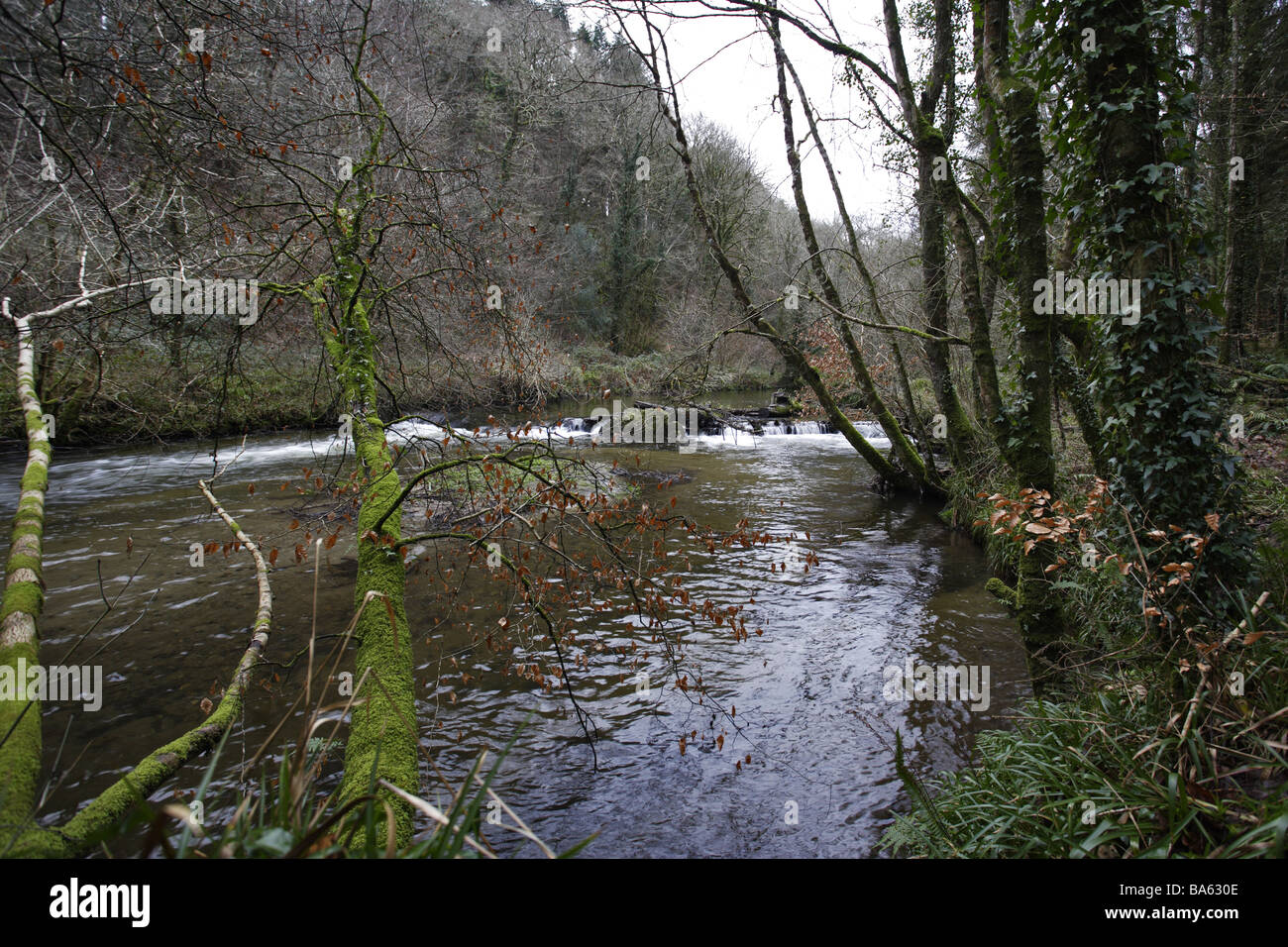 River Camel, Dunmere, Bodmin, Cornwall Stock Photo - Alamy