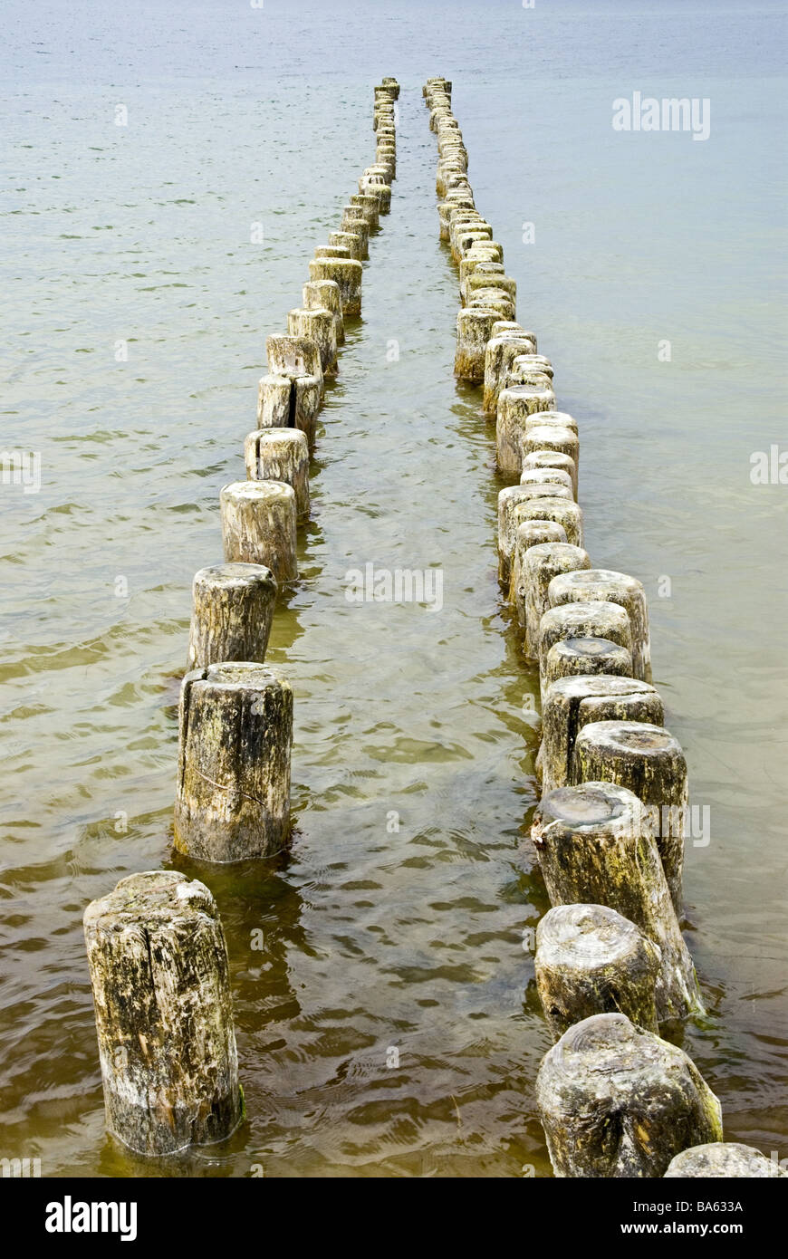 Baltic sea groynes sea coast beach-proximity coast-protection dam ...