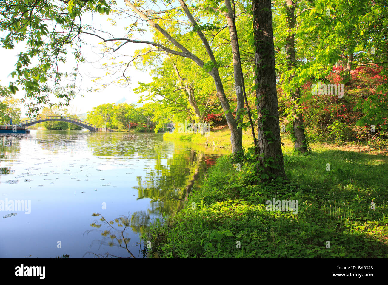 Onuma park hi-res stock photography and images - Alamy