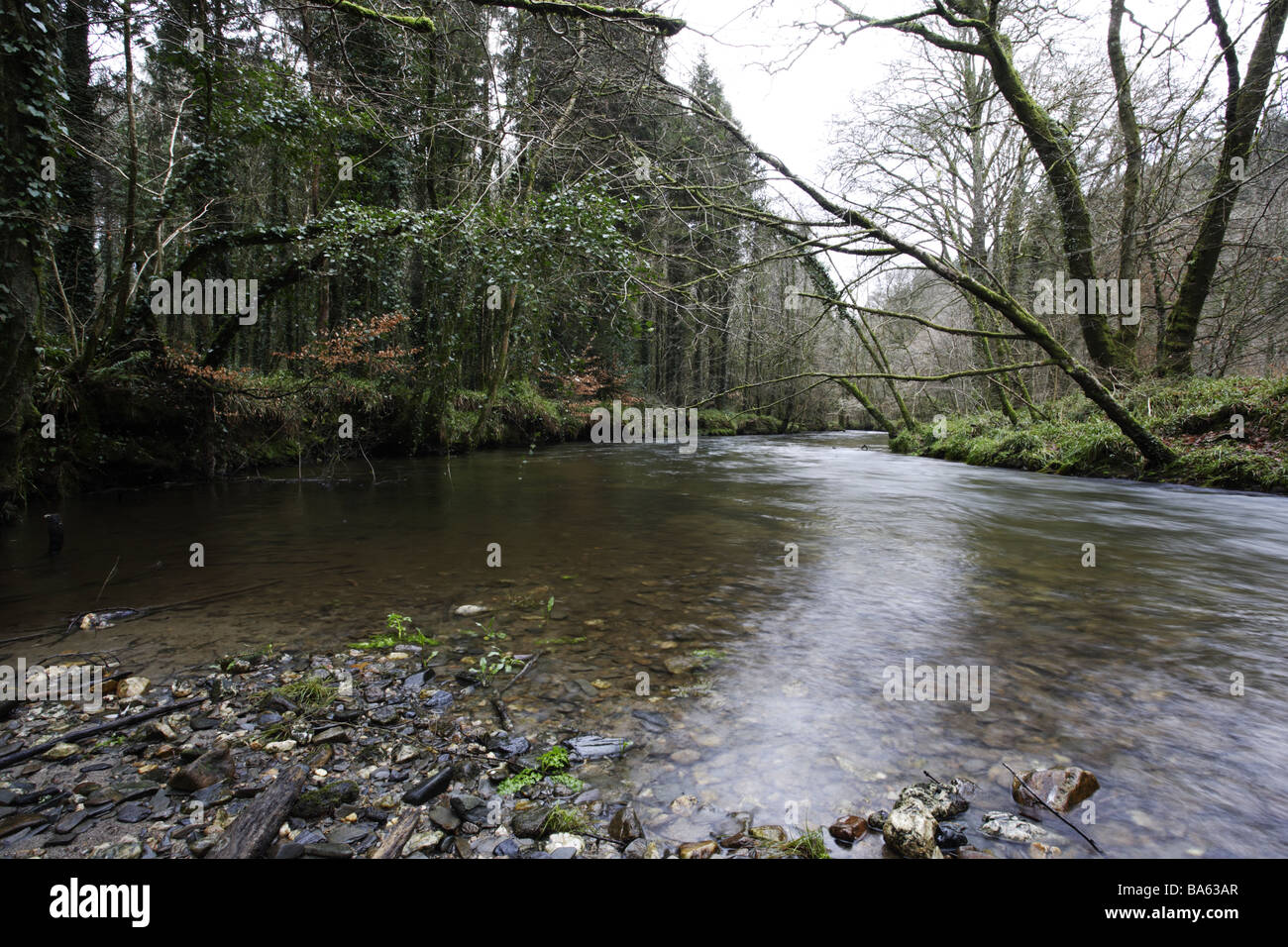 River Camel, Dunmere, Bodmin, Cornwall Stock Photo - Alamy