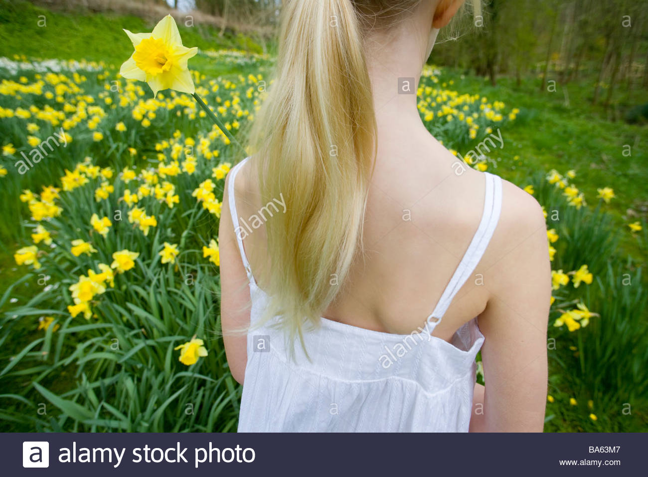 Girl Holding Daffodil Flower Stock Photos & Girl Holding Daffodil ...