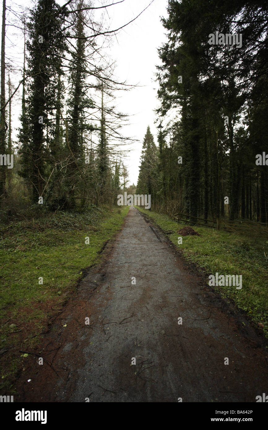 River Camel, Dunmere, Bodmin, Cornwall Stock Photo - Alamy