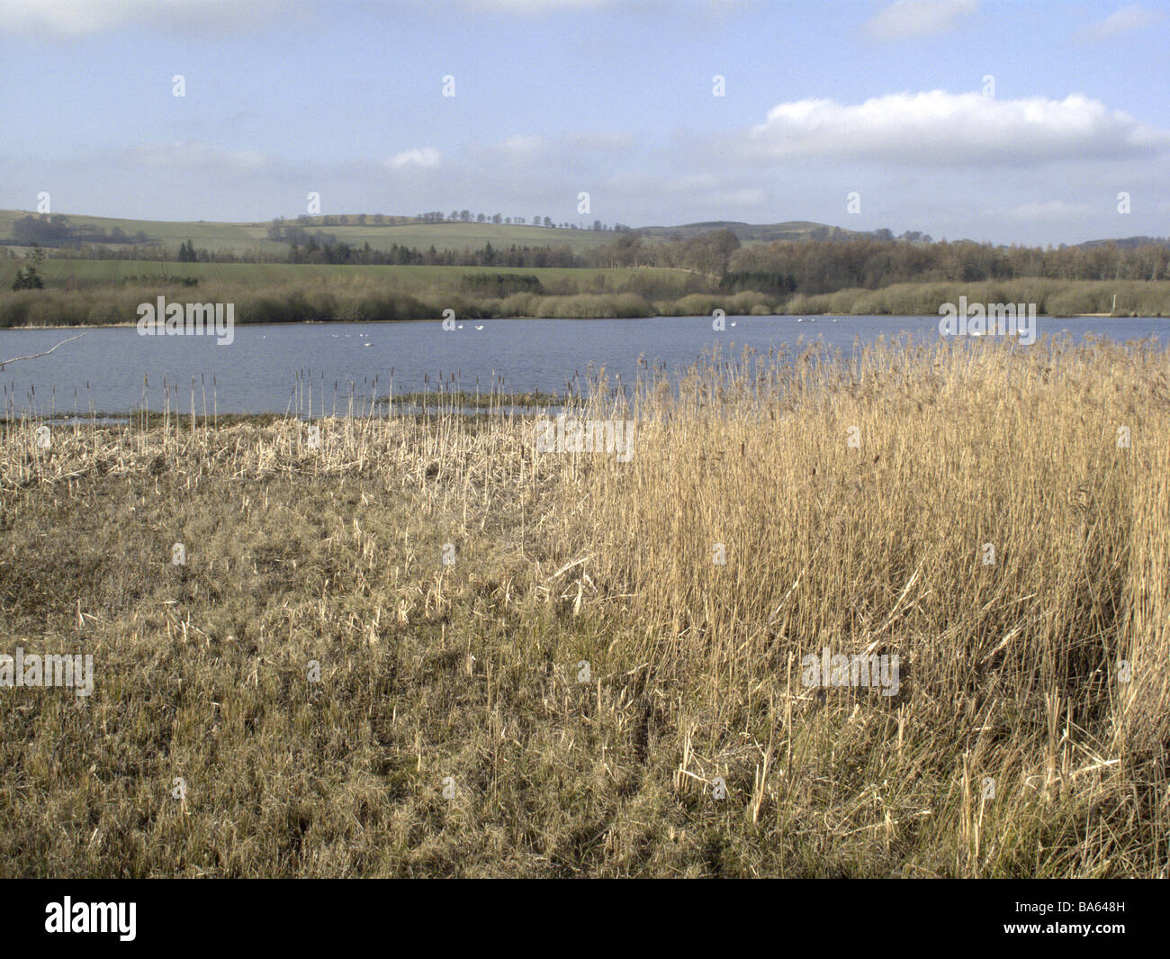 Kinnordy hi-res stock photography and images - Alamy