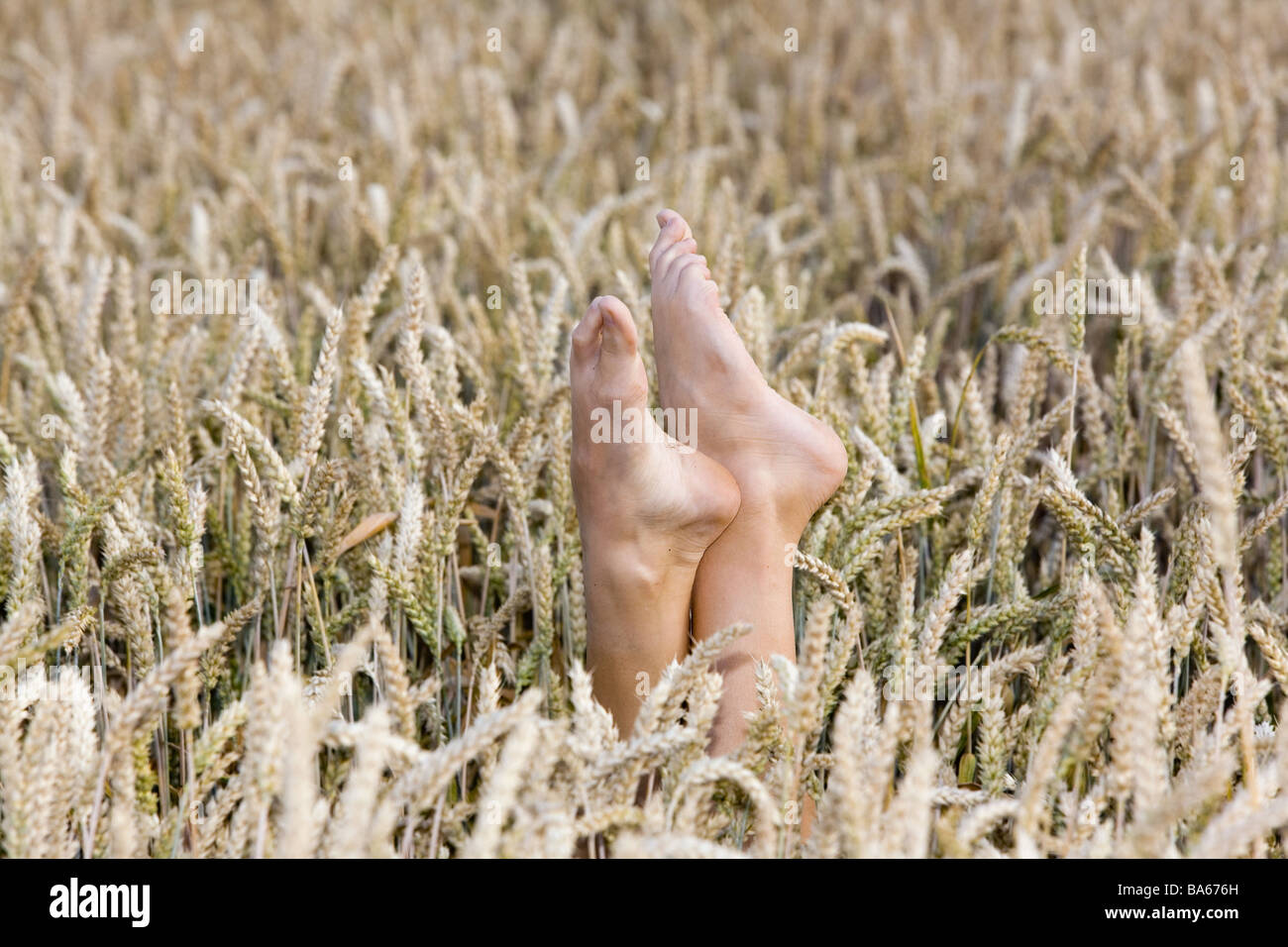 Grain-field women-feet barefoot field grain-field grains grain wheat ...