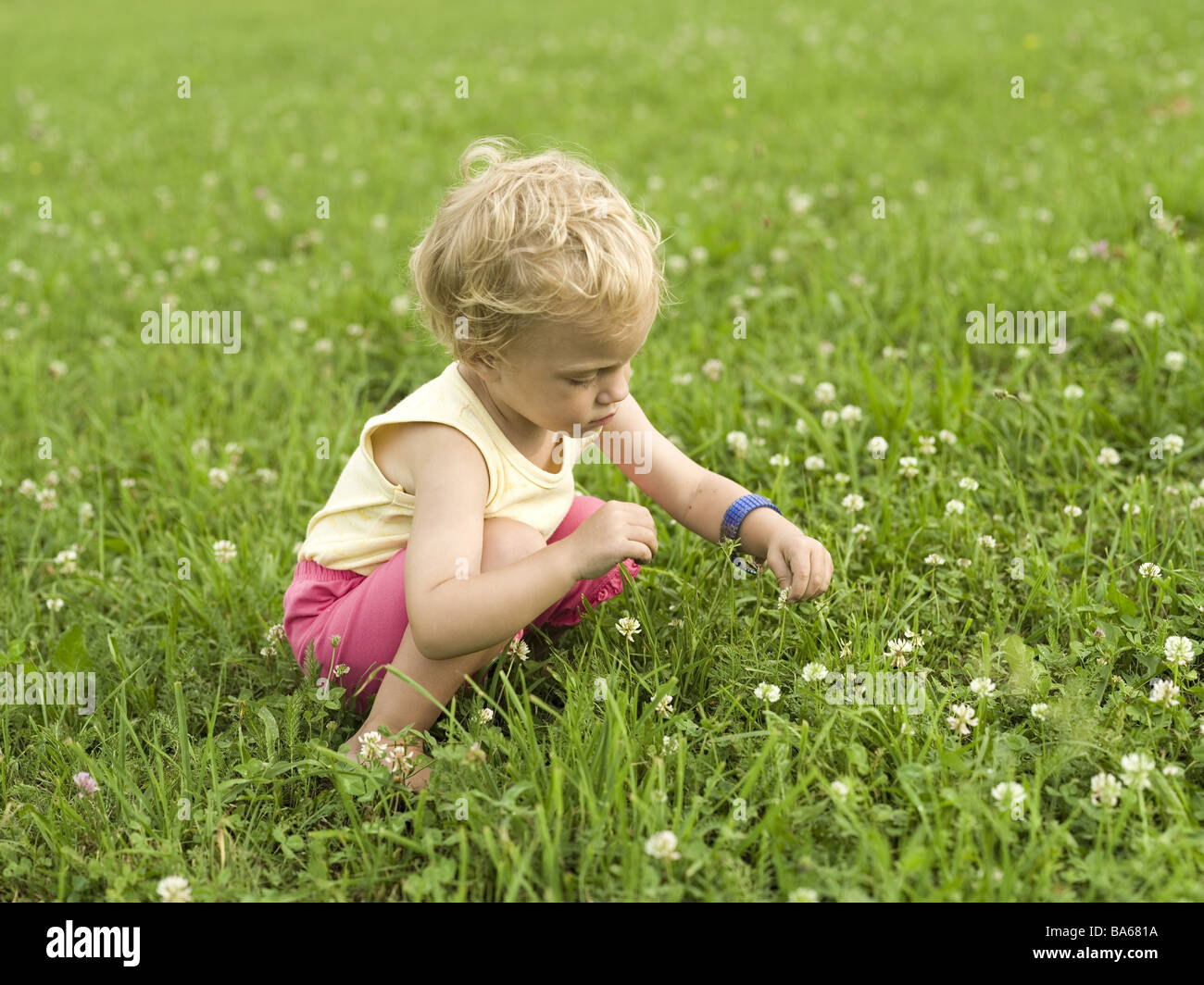 Meadow toddler girls grass clover views people child 2 years blond ...