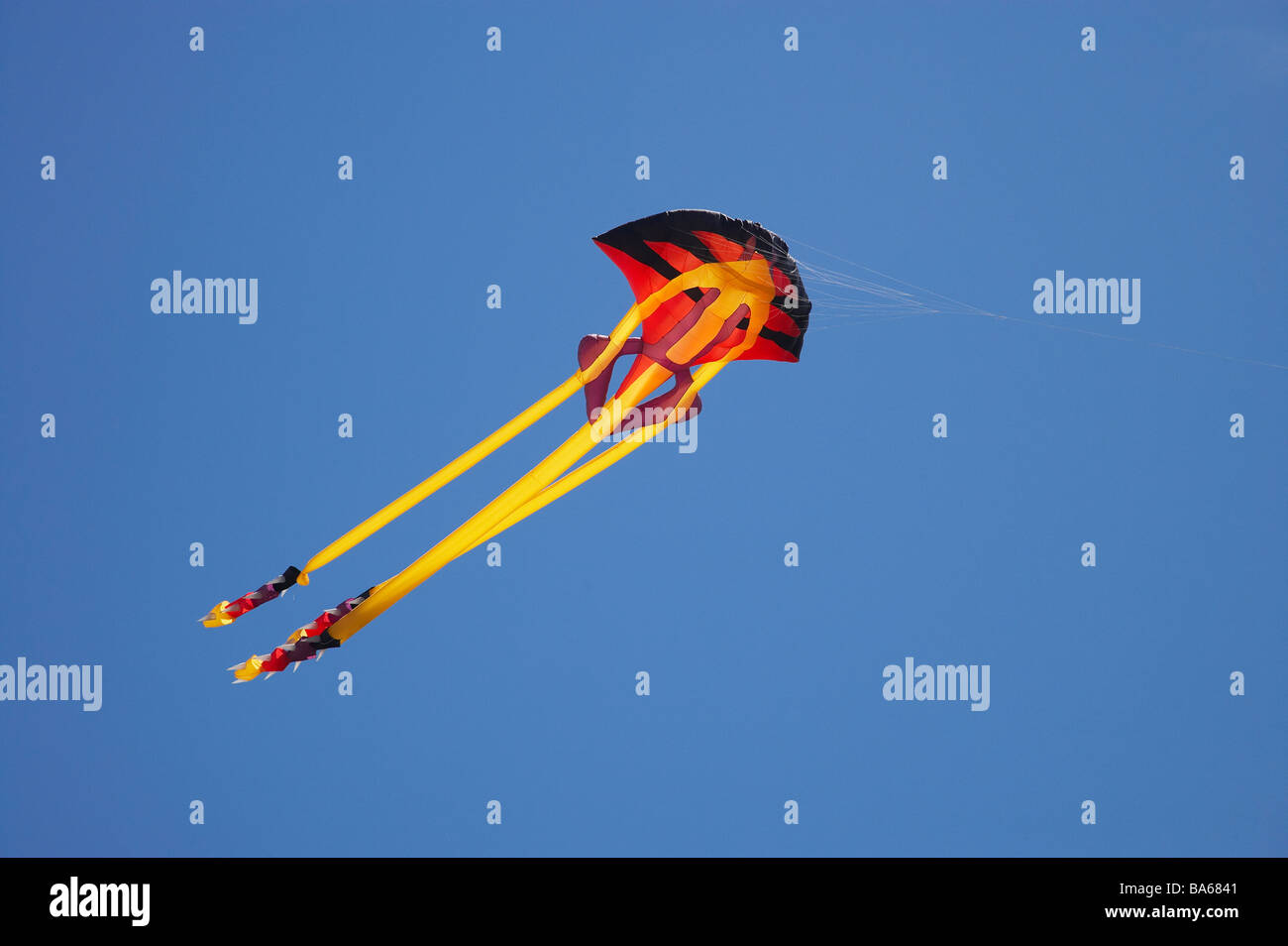 Jellyfish Kite Dunedin Otago South Island New Zealand Stock Photo - Alamy