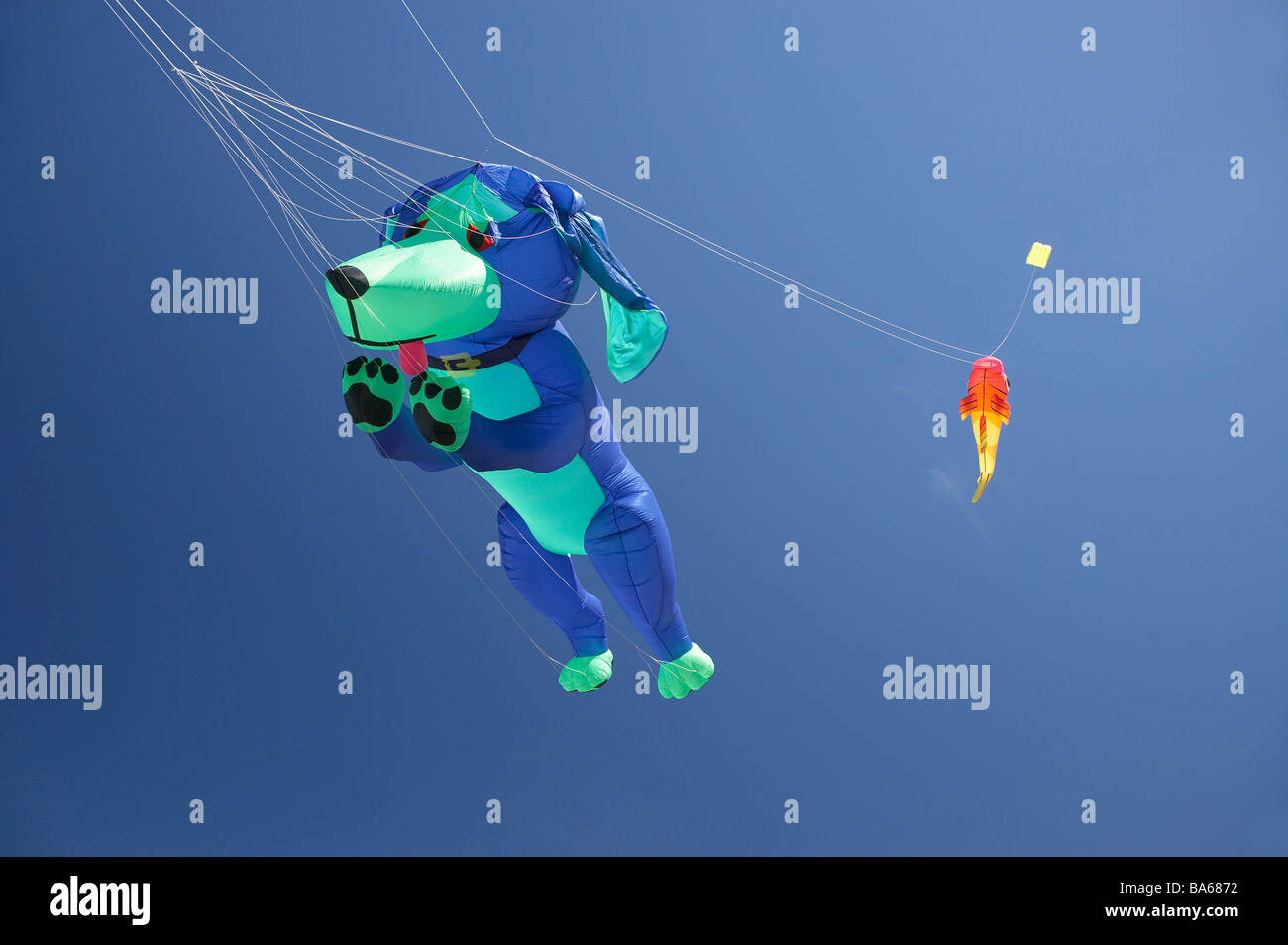 Dog Kite and Fish Kite Dunedin Otago South Island New Zealand Stock ...