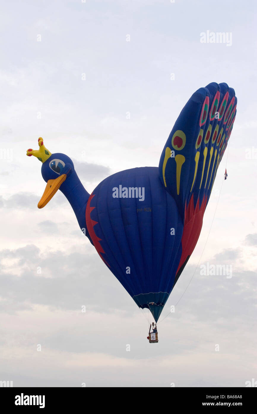 Hot air peacock ballon Stock Photo - Alamy
