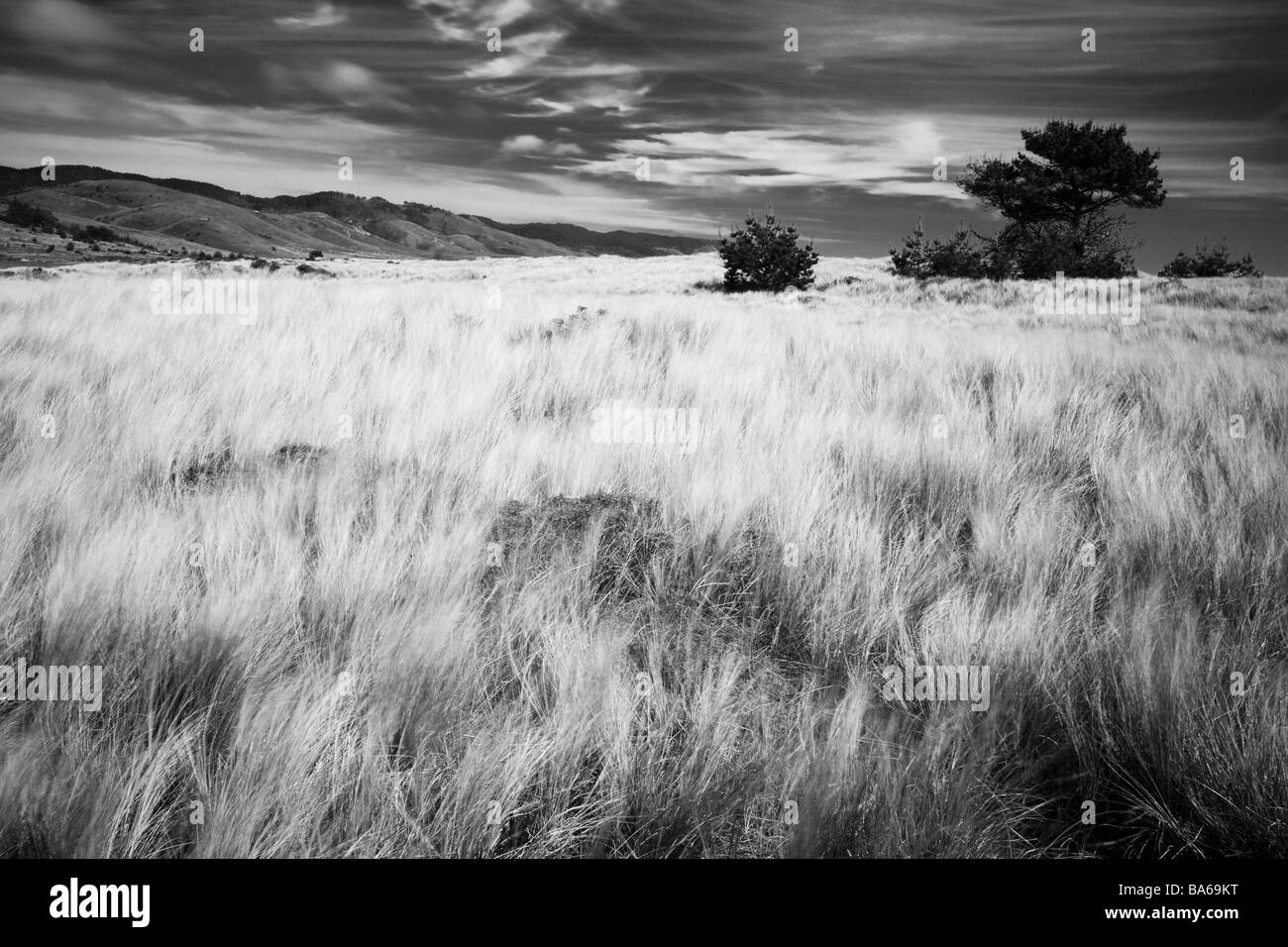 Slow shutter speed Black and White Stock Photos & Images - Alamy