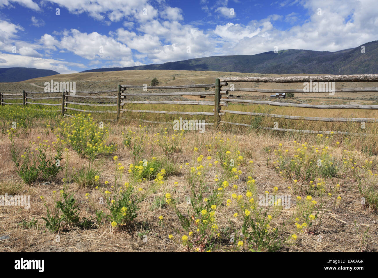 British pastures hi-res stock photography and images - Alamy