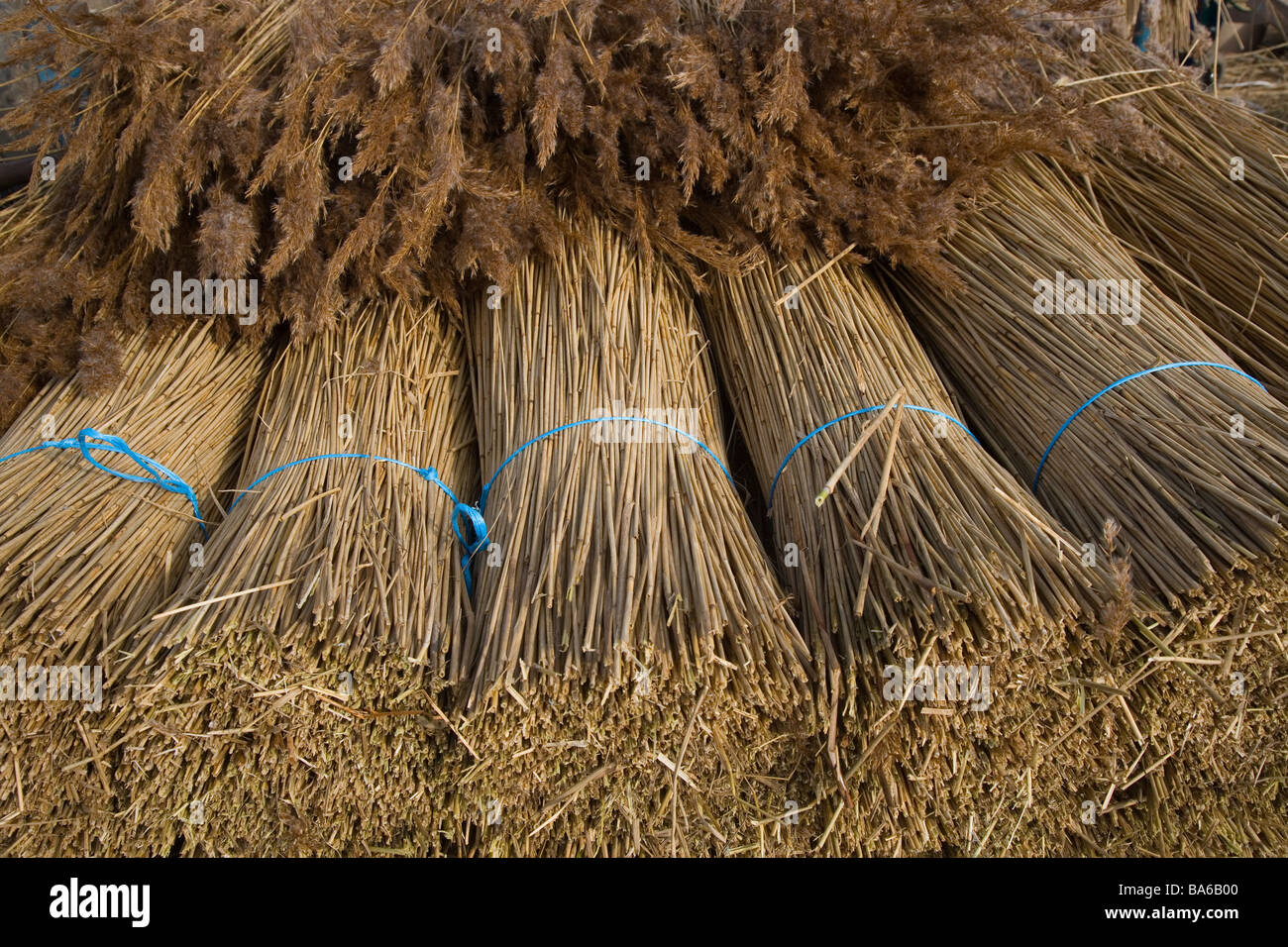 Thatching Roofs High Resolution Stock Photography and Images - Alamy
