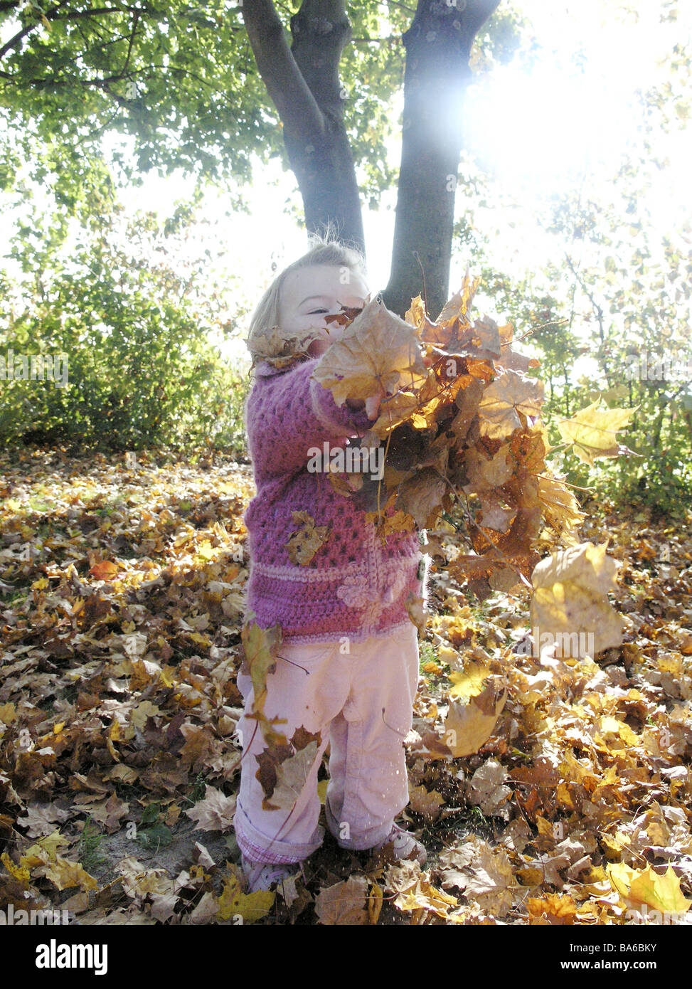Forest girls fall foliage plays cheerfully autumn back light series ...