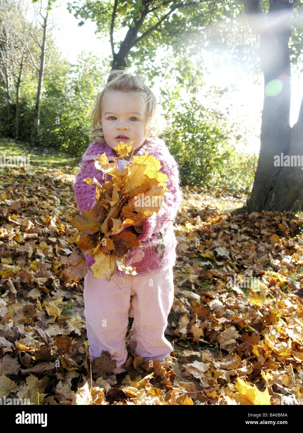 Forest girls fall foliage plays cheerfully autumn back light series ...