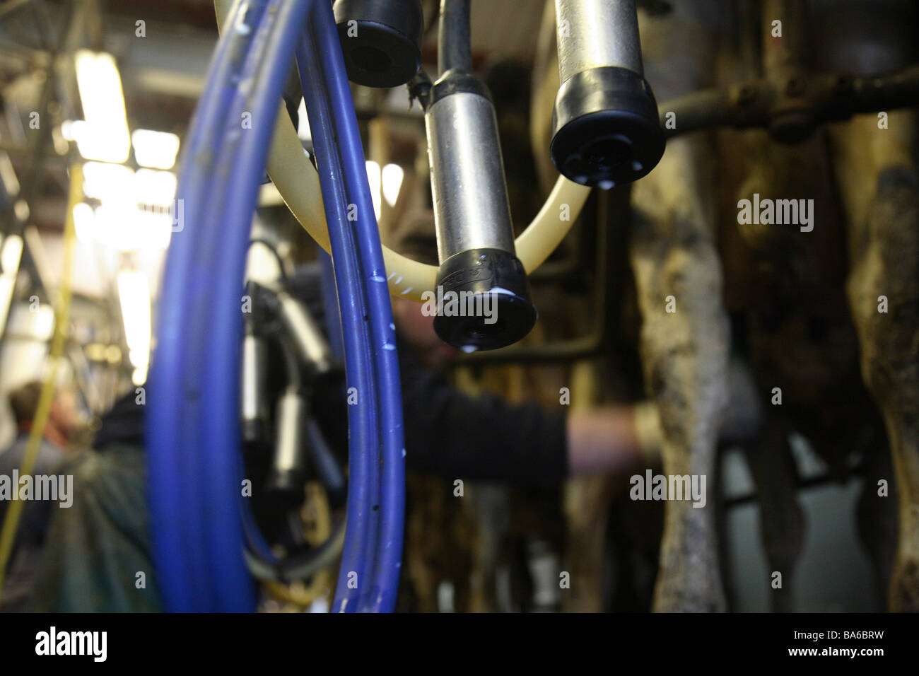 Milk pipes hi-res stock photography and images - Alamy