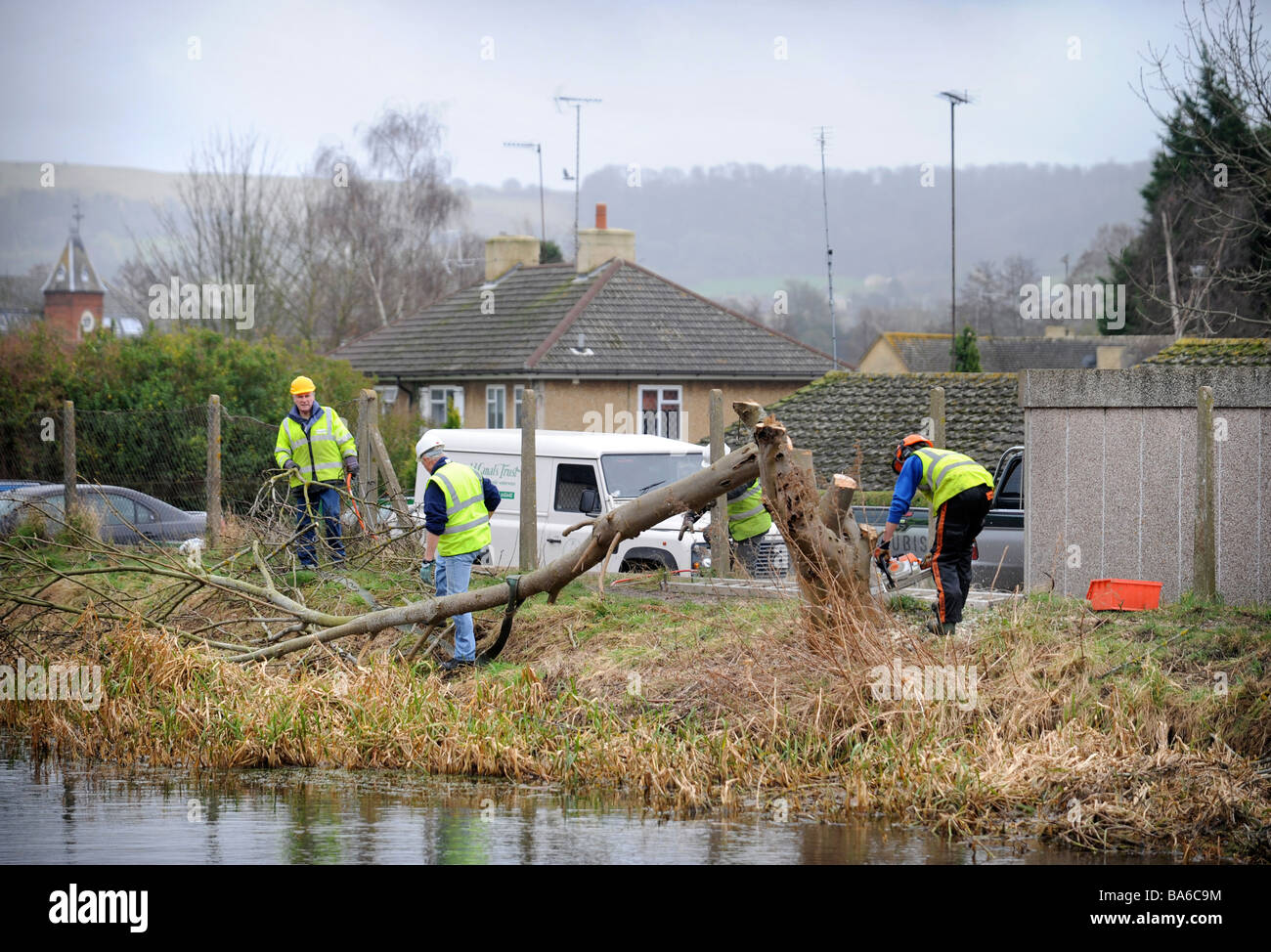 Tree surgeon works on hi-res stock photography and images - Alamy