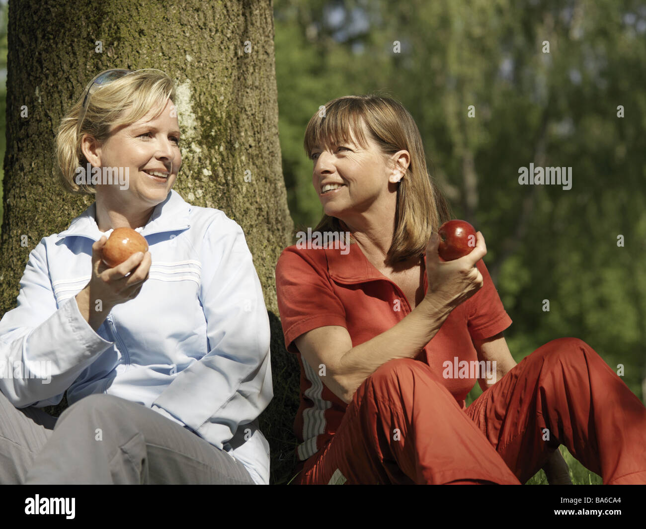 Truncated tree hi-res stock photography and images - Alamy
