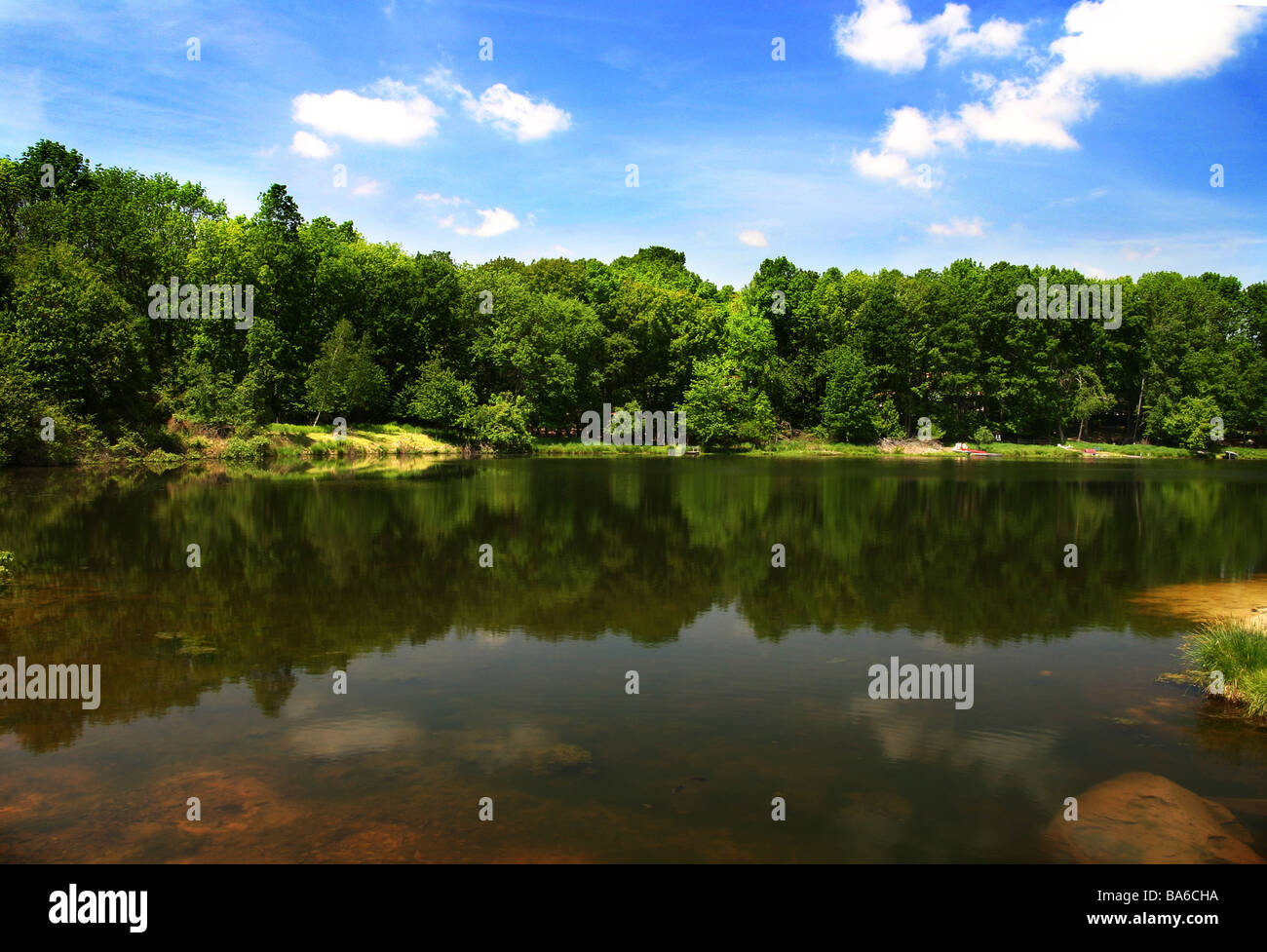 Reflection in the dark water Stock Photo - Alamy