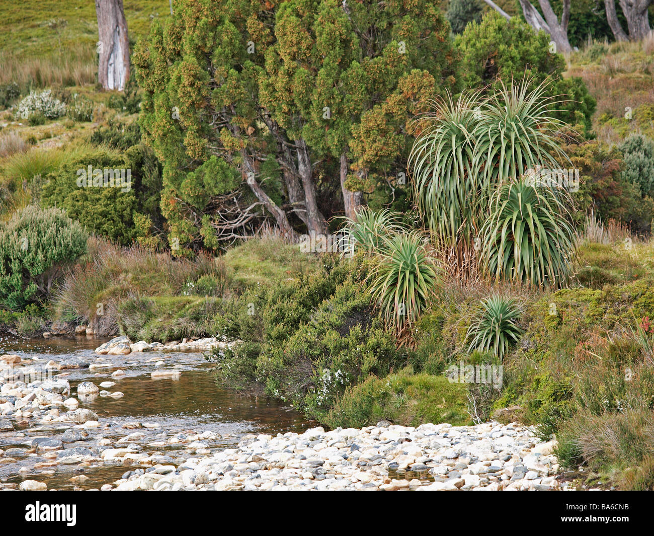 Tasmanian world heritage area hi-res stock photography and images - Alamy