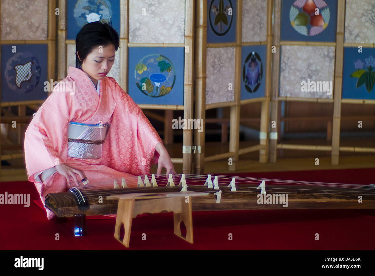 Female Koto player - Japan Stock Photo - Alamy