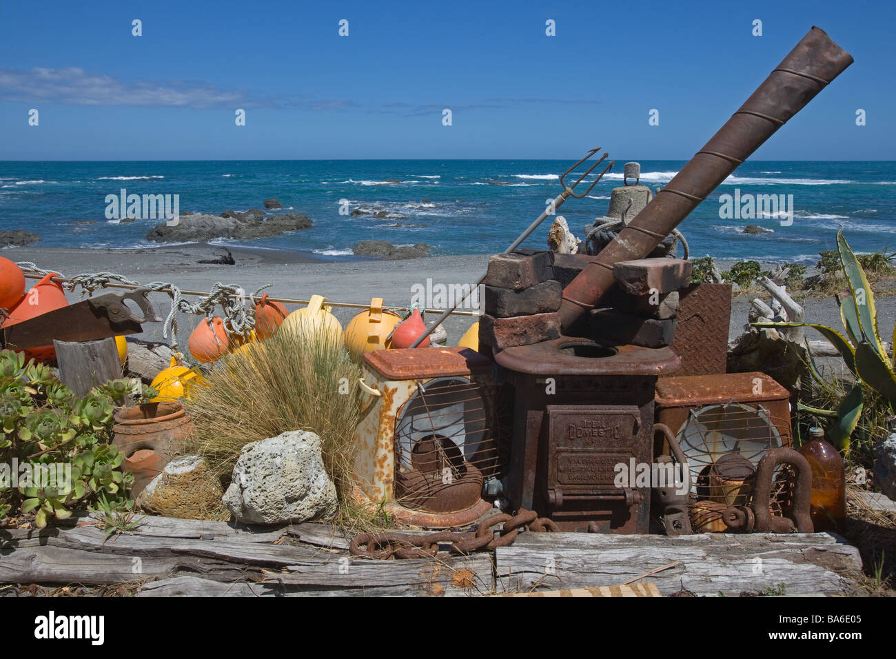 Garden at Red Rocks Nature Reserve Near Wellington North Island New ...