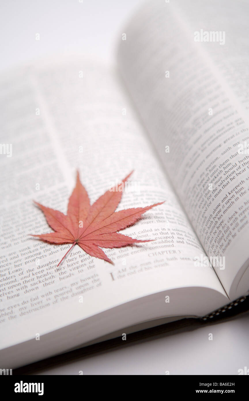 Maple leaf on open book Stock Photo - Alamy