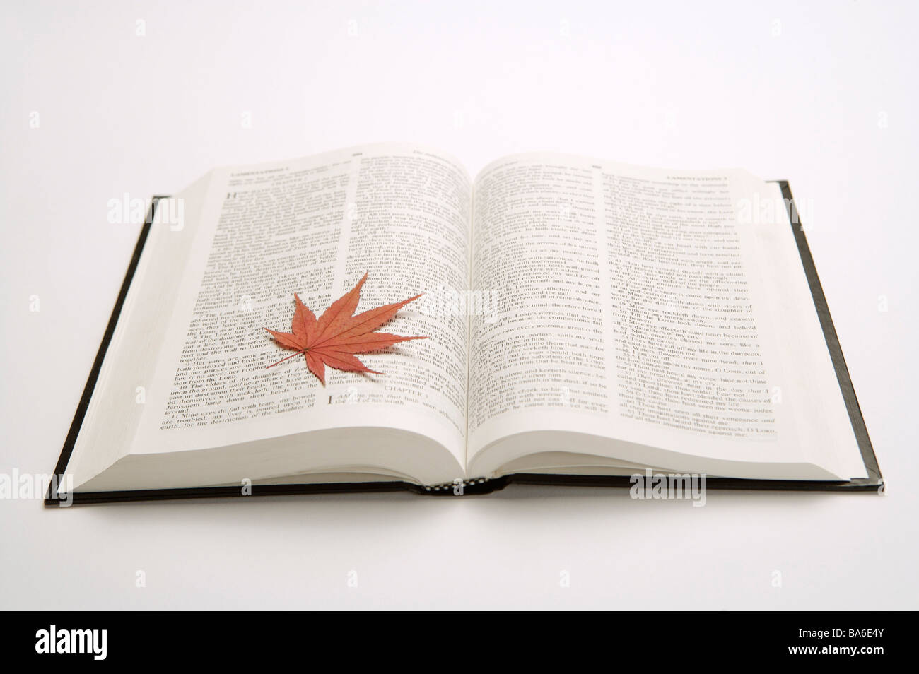 Maple leaf on open book Stock Photo - Alamy