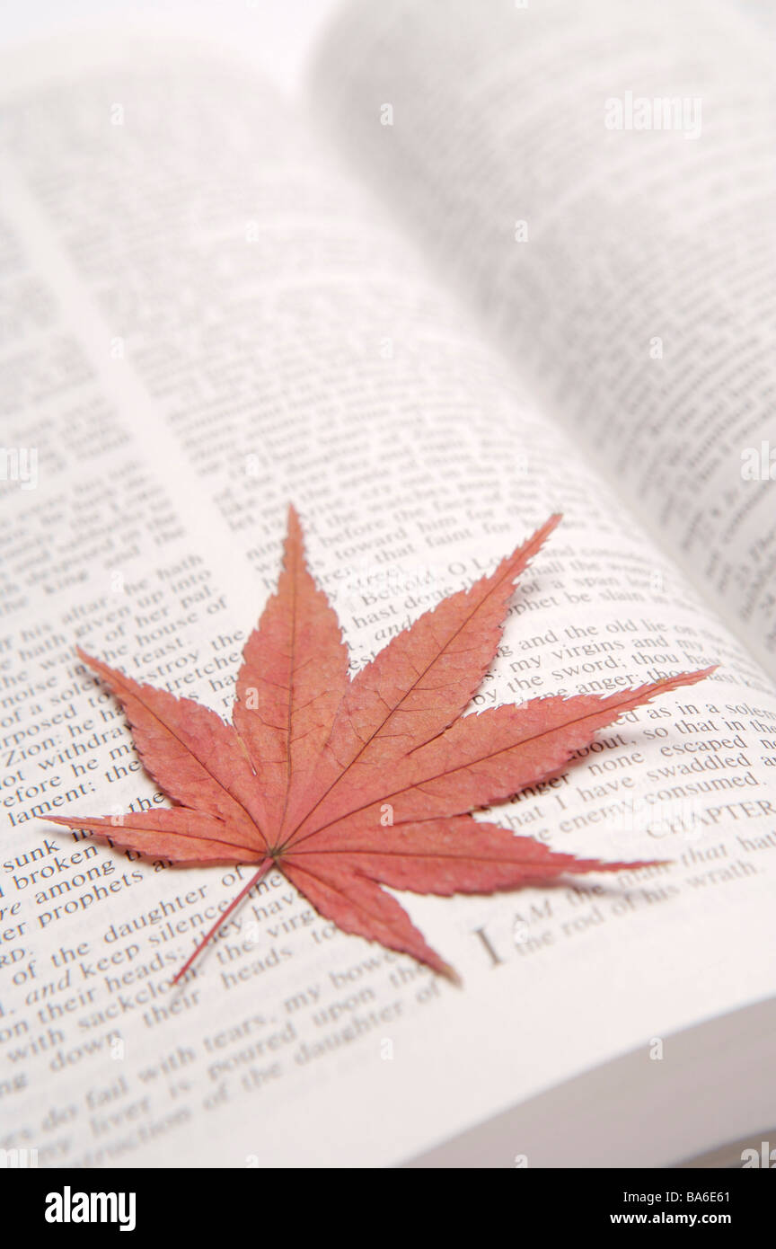 Maple leaf on open book Stock Photo - Alamy