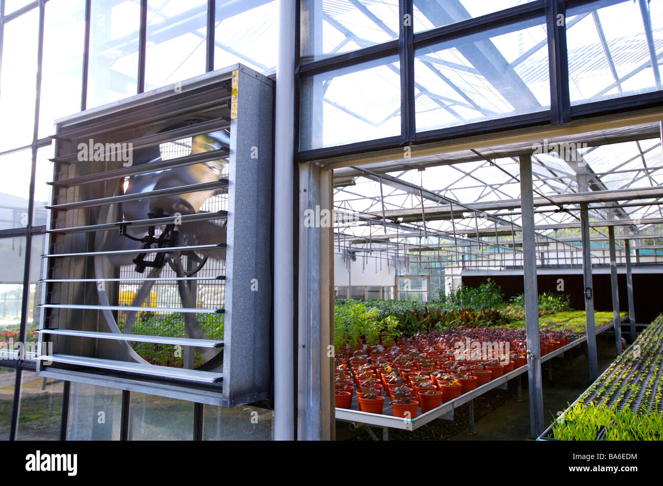 Greenhouse view from outside Stock Photo - Alamy
