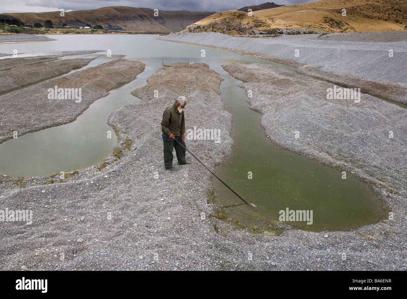 Maori Eel Catcher Banks Peninsula New Zealand Stock Photo - Alamy