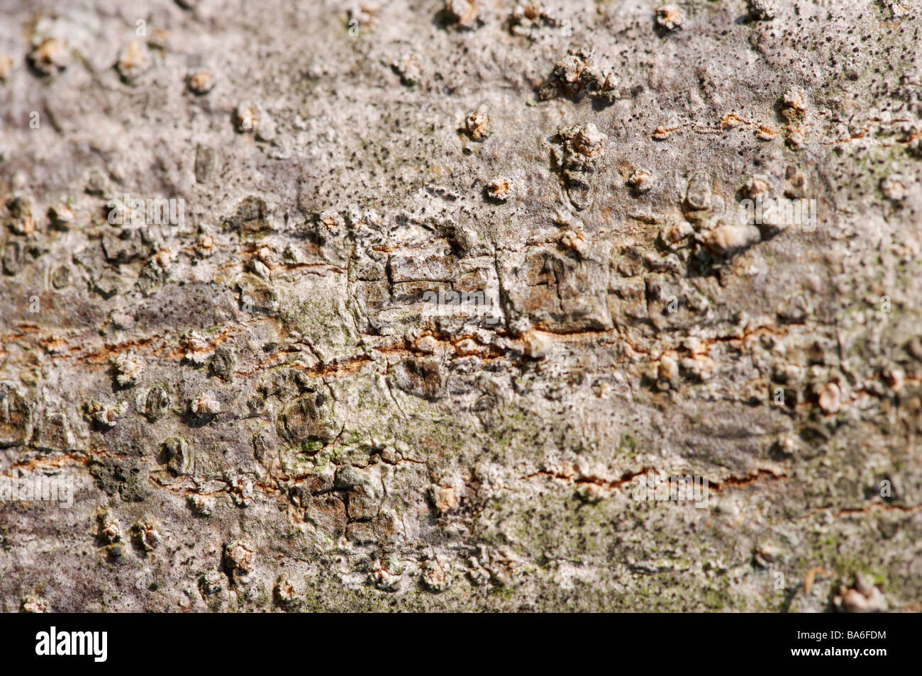 Crumpled rock hi-res stock photography and images - Alamy