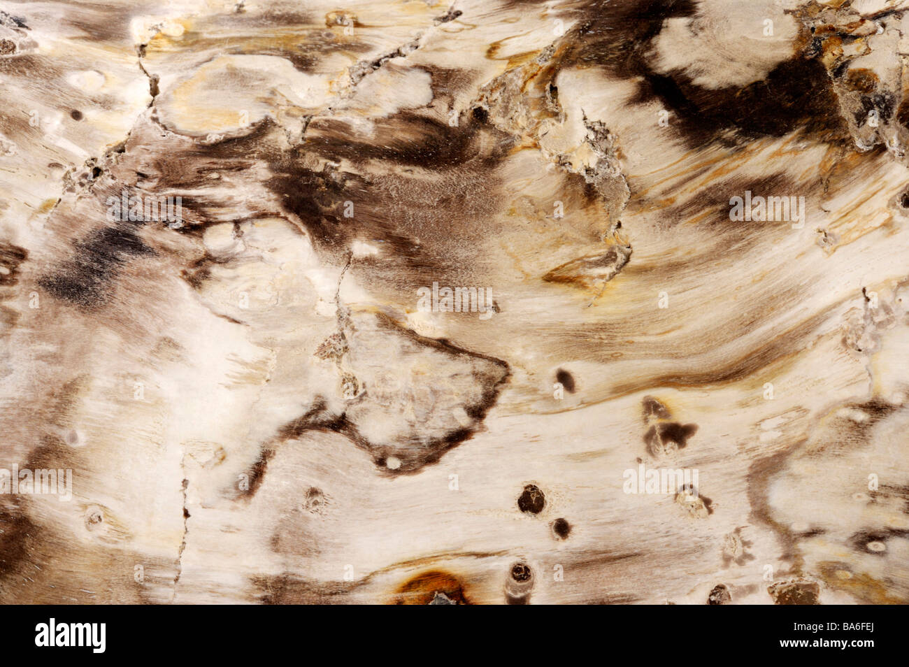 Gray and Tan Marble Stock Photo - Alamy