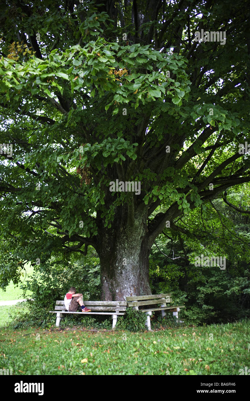 Tree boy bank sits sorrowfully thoughtfully child 13 years however park ...