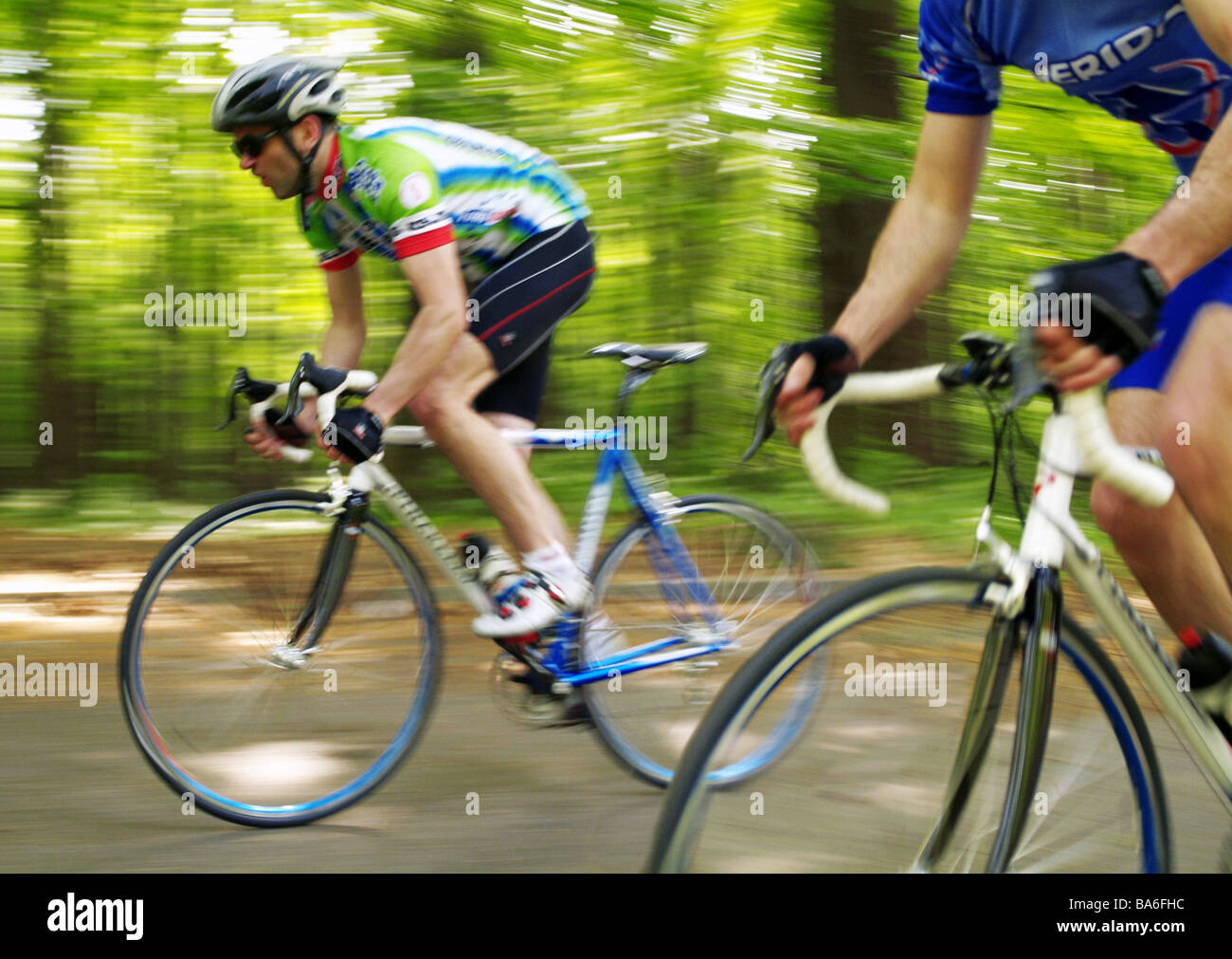 Forest reindeer-cyclists bicycles drives movement training race with ...