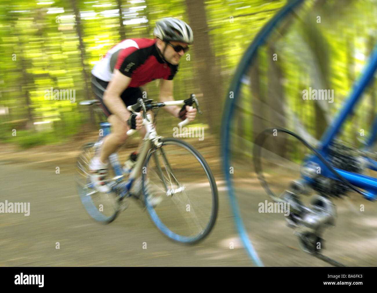 Forest reindeer-cyclists bicycles drives movement training race with ...