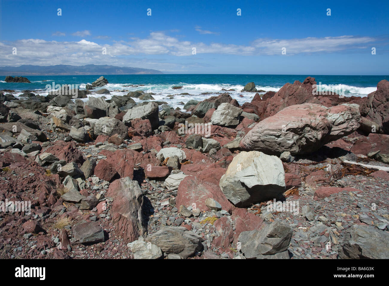 Red Rocks Nature Reserve Near Wellington North Island New Zealand Stock ...
