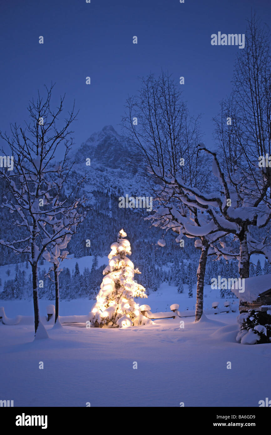 Winter-landscape Christmas-tree illuminates outside evening twilight ...
