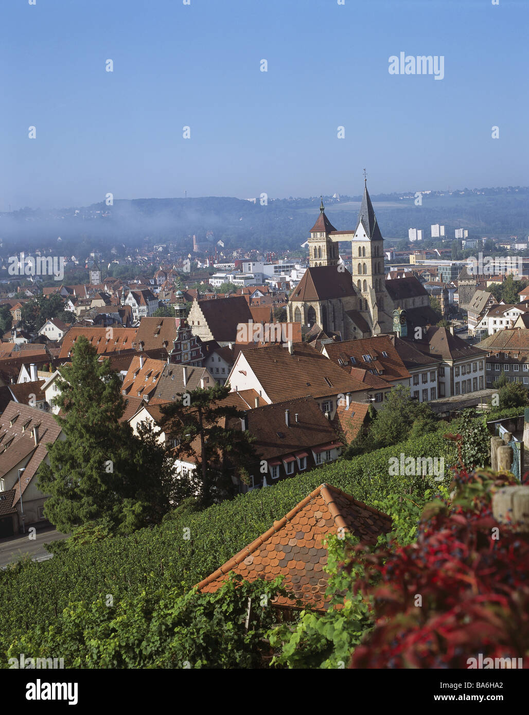 Germany Baden-Württemberg Esslingen at the Neckar city-opinion church ...