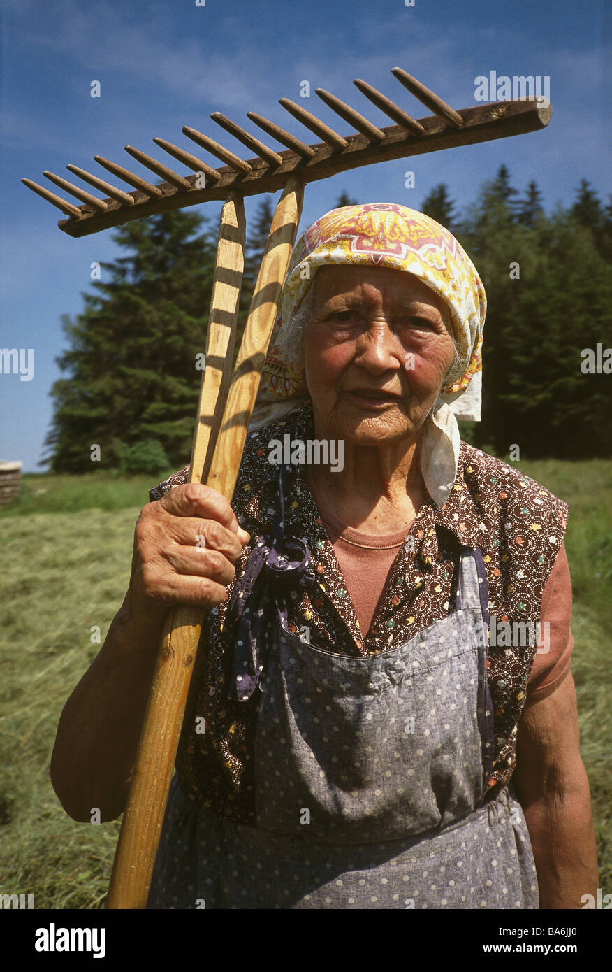 Czech republic farmer wood-rakes semi-portrait Dobra Voda people ...