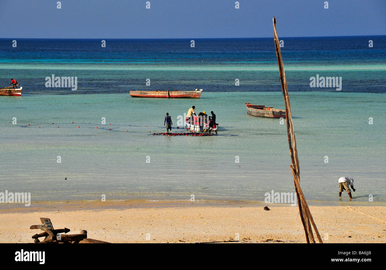 Kimikazi beach hi-res stock photography and images - Alamy