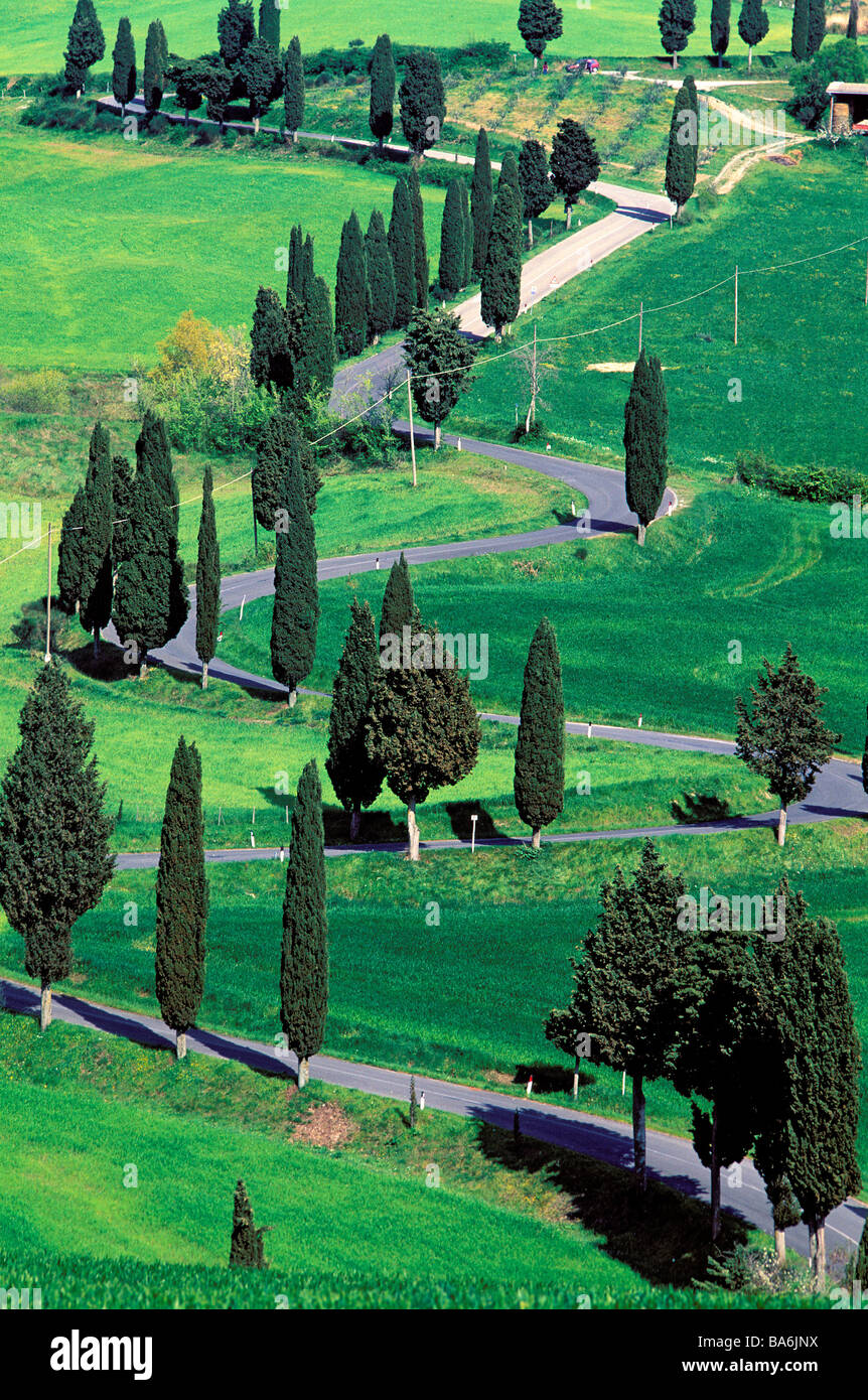 Italy, Tuscany, Sienna Province, landscape with ridges, winding road ...