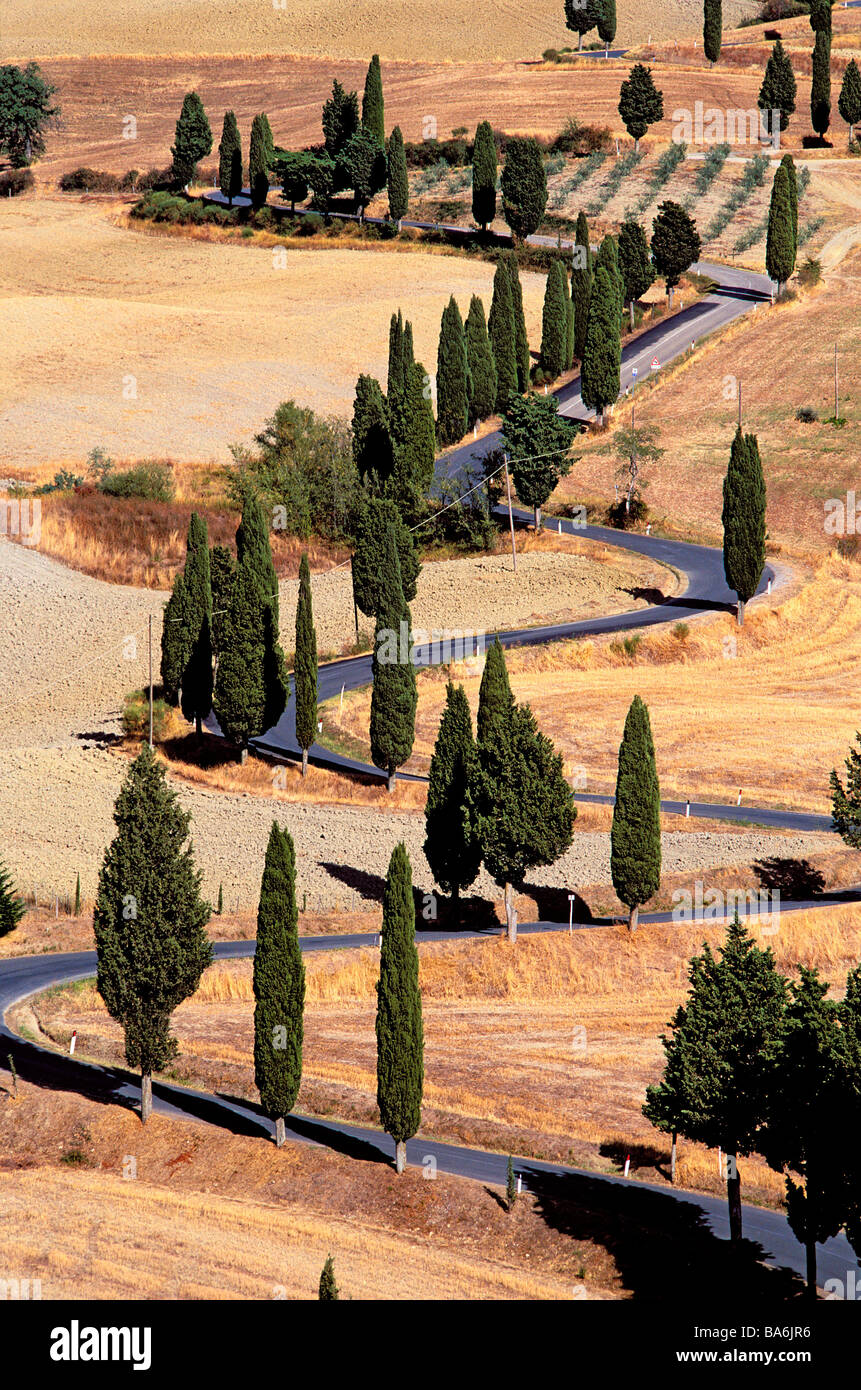 Italy, Tuscany, Sienna Province, landscape with ridges, winding road ...