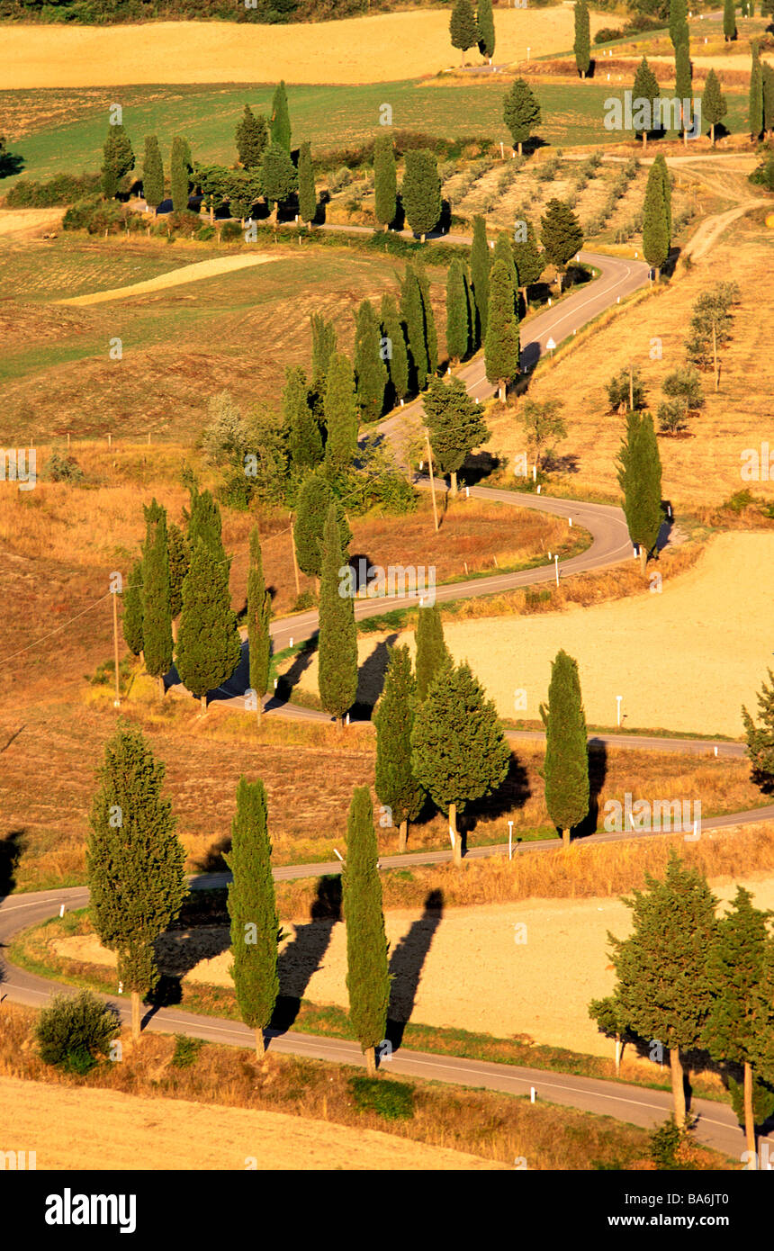 Italy, Tuscany, Sienna Province, landscape with ridges, winding road ...