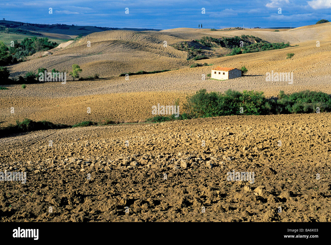 Italy, Tuscany, Sienna Province, farm in the fields Stock Photo - Alamy